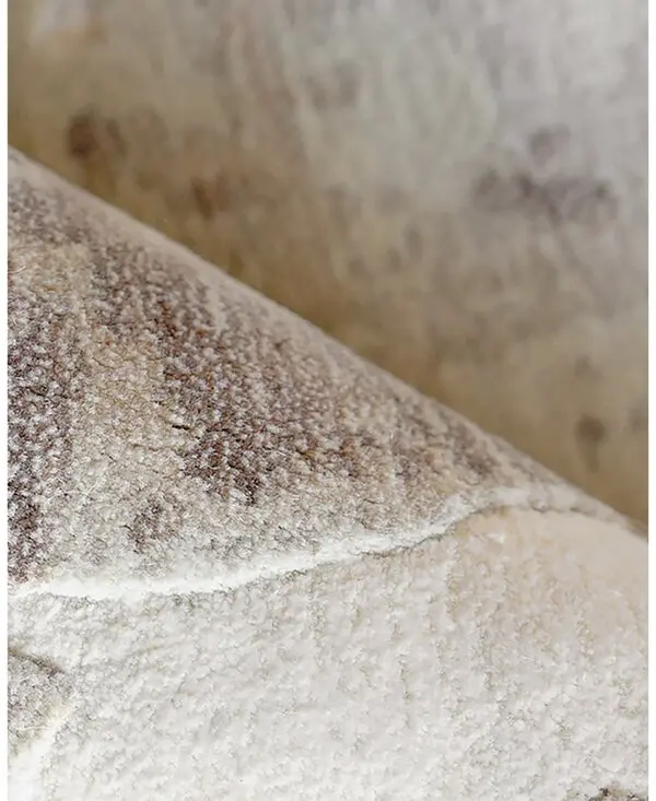 EXQUISITE RUGS Papyrus 6800 Area Rug, 6' X 9