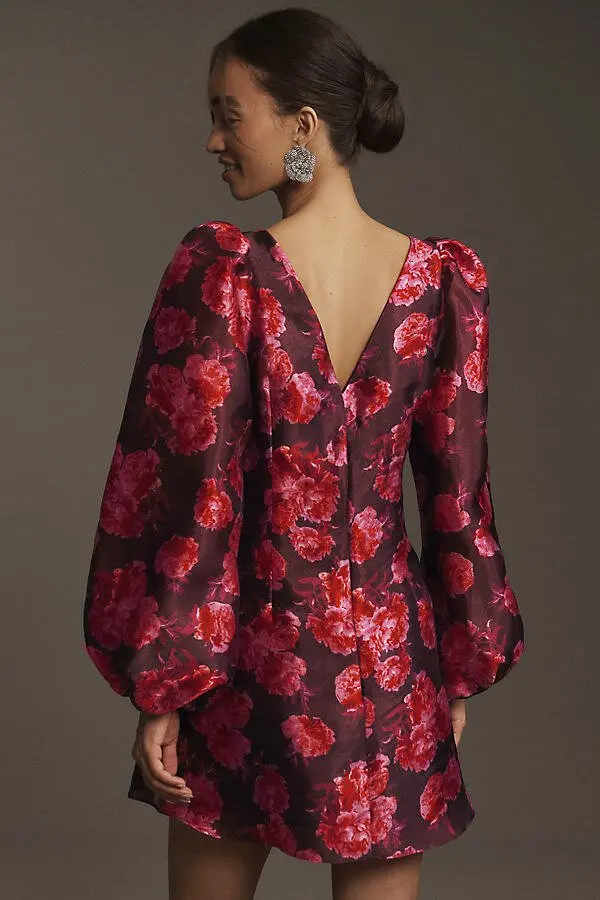 Aliana Floral Organza Mini Dress - Red Pattern