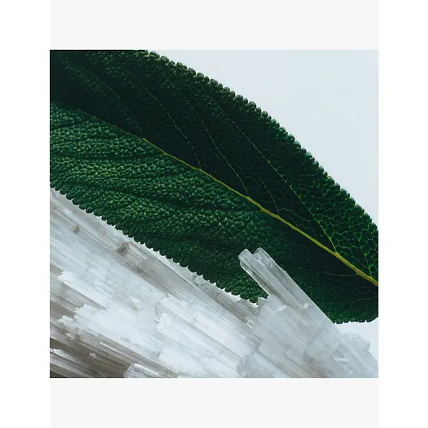 Jo Malone Wood Sage And Sea Salt Cologne 9ml - One-color