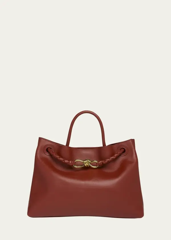 Bottega Veneta Medium Andiamo Leather Shoulder Bag - Rosewood