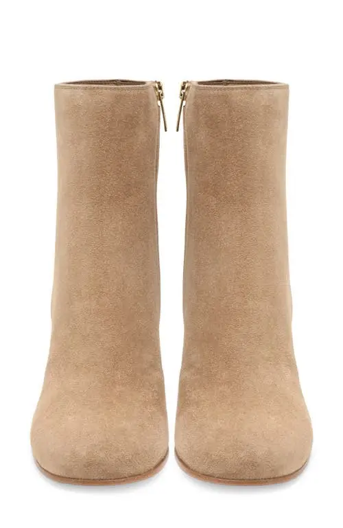GIANVITO ROSSI Joelle Booties - Brown