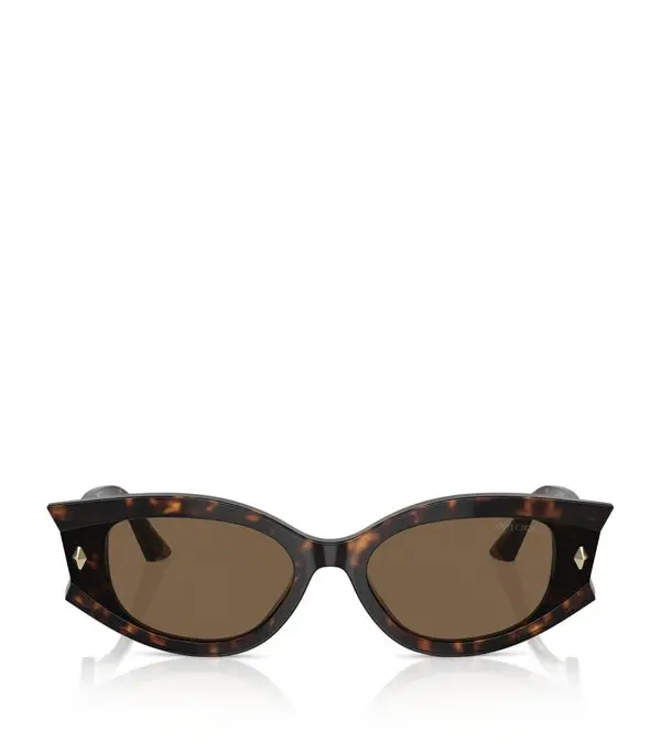 JIMMY CHOO Acetate Sunglasses - Brown