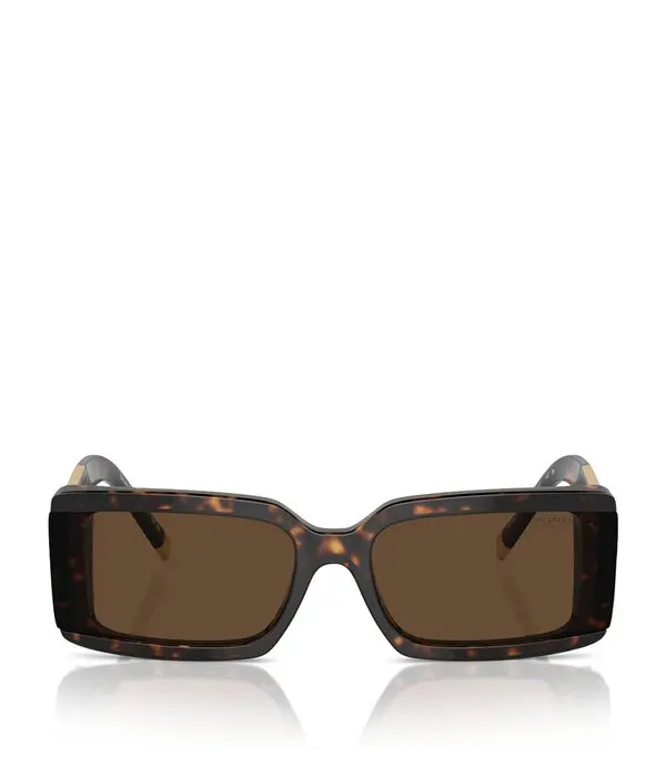 Tiffany & Co. Acetate Tf4197 Sunglasses - Brown