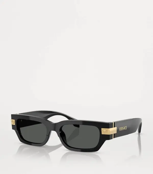 Versace Ve4465 Sunglasses