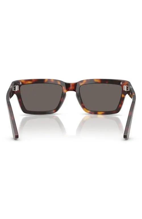 Persol 55mm Rectangle Sunglasses - Havana
