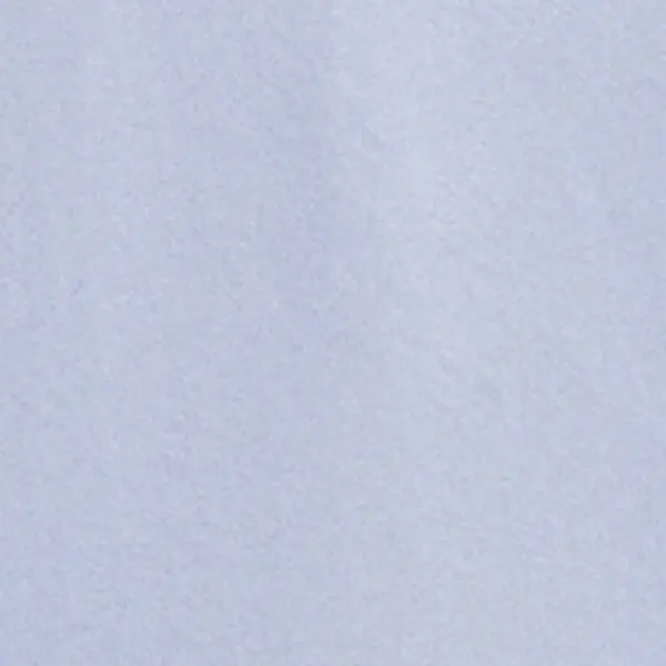 Loewe Cotton Embroidered Logo Shirt