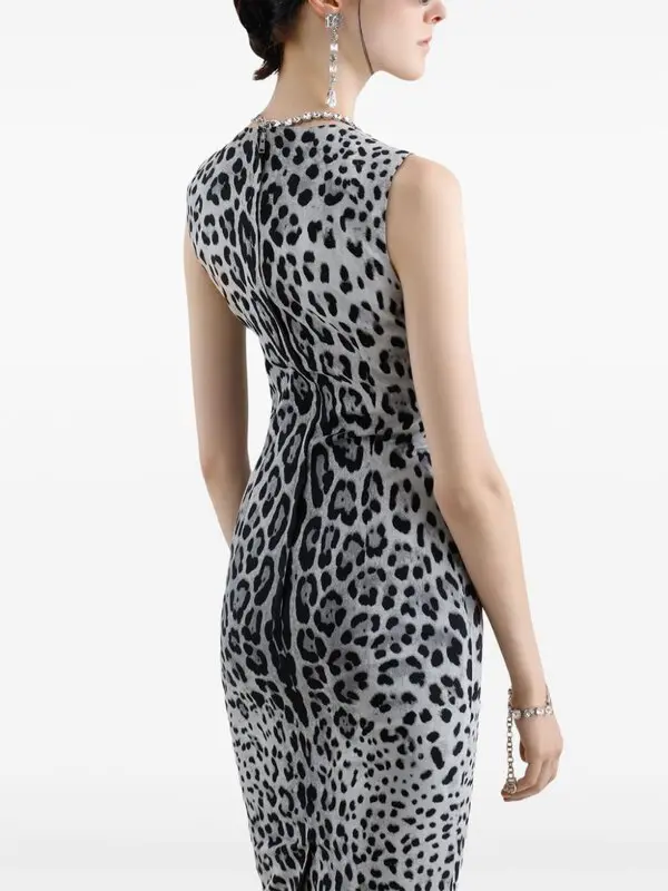 Dolce & Gabbana Animal-print Midi Dress - White