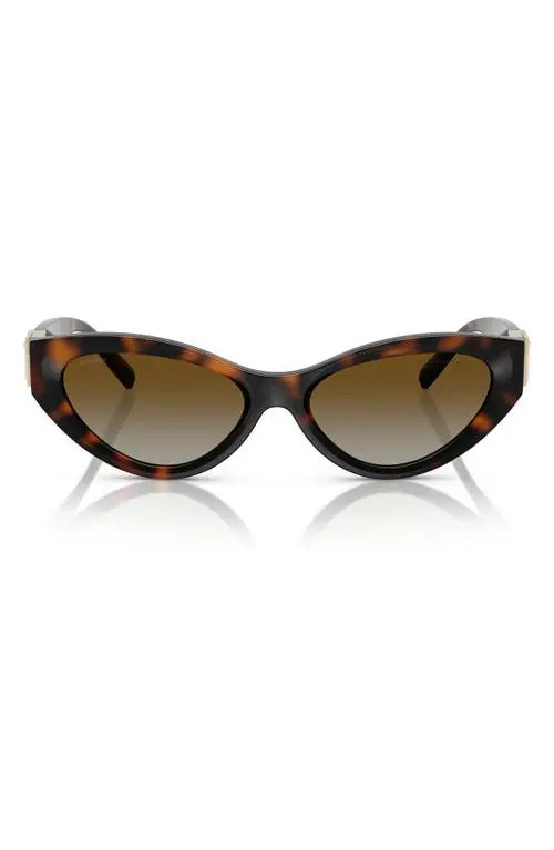 Tiffany & Co. 54mm Polarized Gradient Oval Sunglasses - Havana