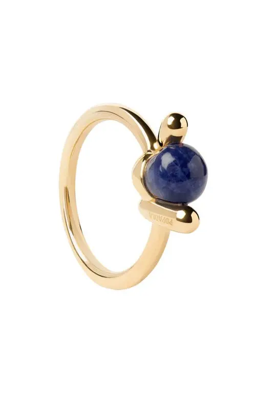 PDPAOLA Nexus Ring - Sodalite