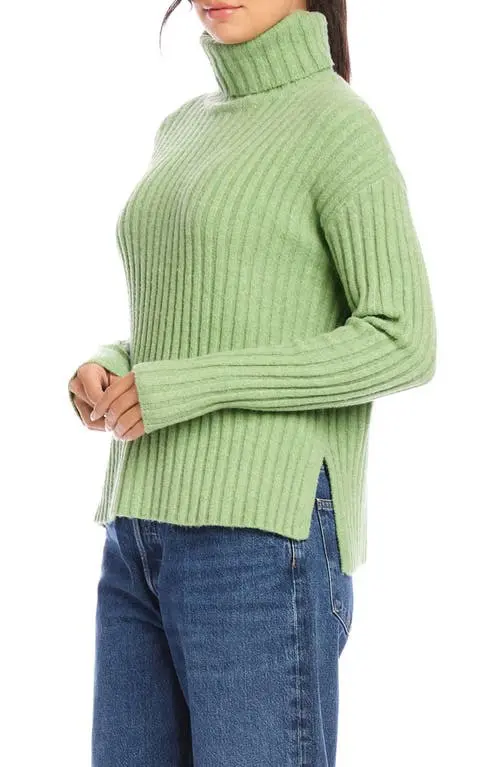 Fifteen Twenty Claudia Ribbed Turtleneck Sweater