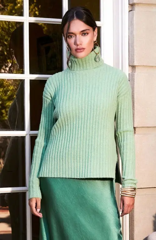 Fifteen Twenty Claudia Ribbed Turtleneck Sweater
