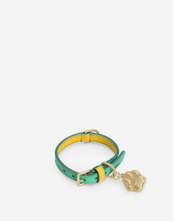 Dolce & Gabbana Collar - Green