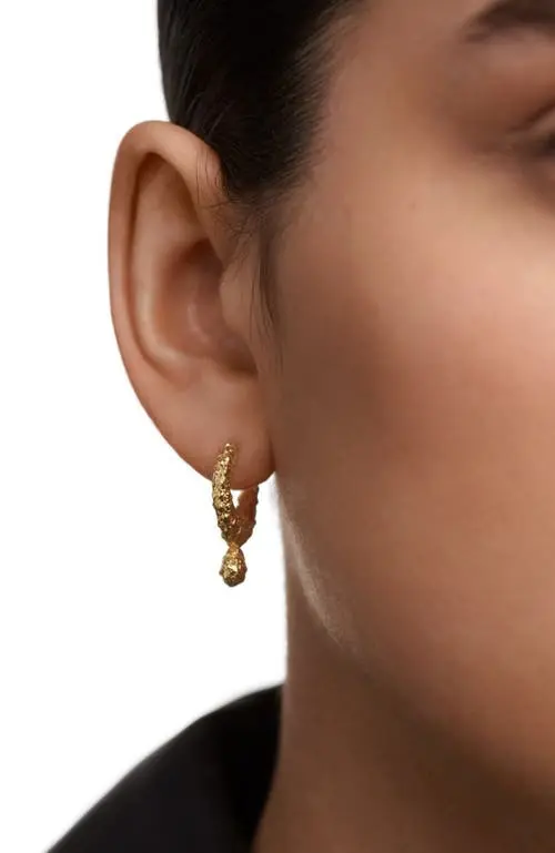PDPAOLA Lava Single Hoop Earring