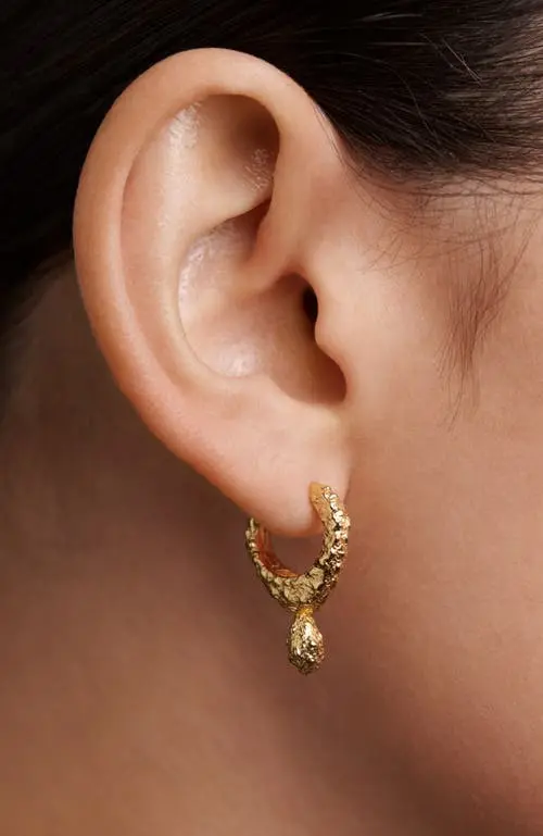 PDPAOLA Lava Single Hoop Earring