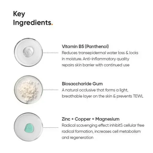 MINIMALIST Vitamin B5 10% Moisturizer