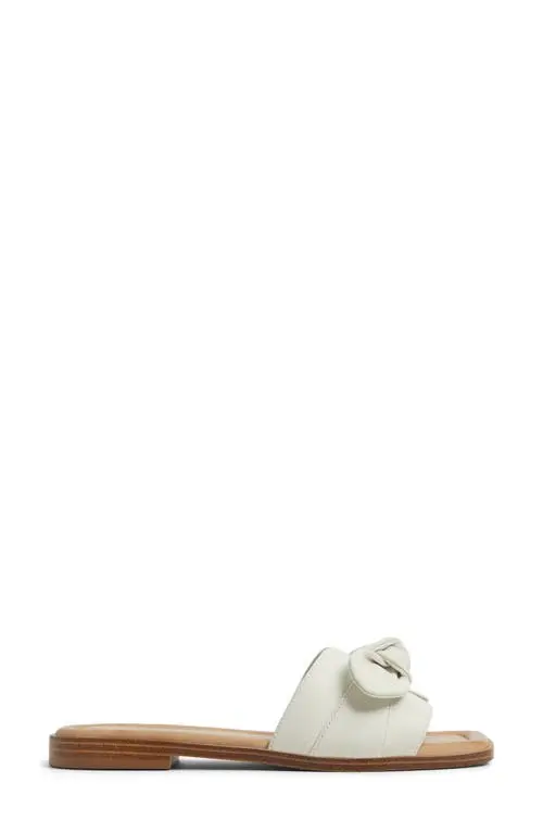 Aldo Lavinia Slide Sandal