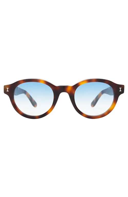 Illesteva Medellin Sunglasses - Havana / Blue