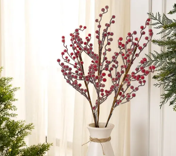 VALERIE PARR HILL As Is Set/3 30' Illuminated Sugared Berry Branches - One-color
