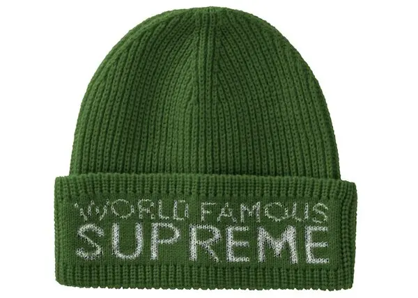 Supreme World Famous Beanie - Dark Green
