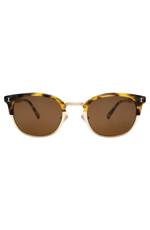Illesteva Stockholm Sunglasses - Tortoise / Gold