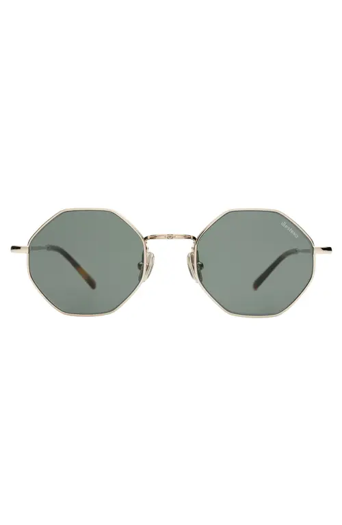 Illesteva Broome Sunglasses - Gold / Olive