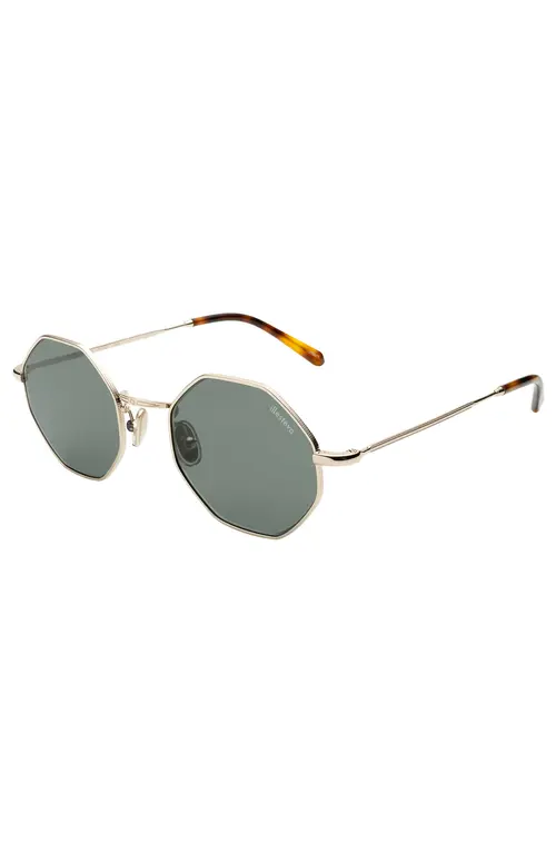Illesteva Broome Sunglasses - Gold / Olive