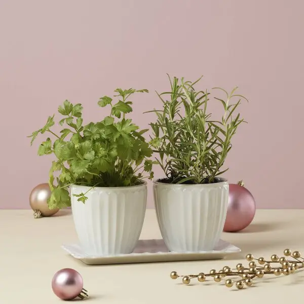 LENOX Set Of 2 French Perle Herb Pots With Tray