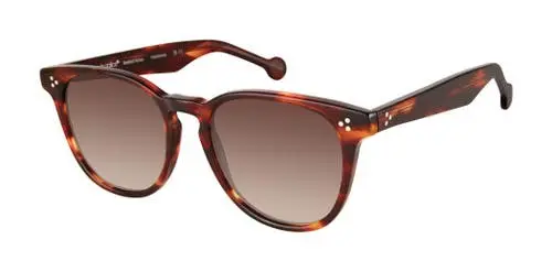 COLORS IN OPTICS Wooster Sunglasses - Maple Tortoise