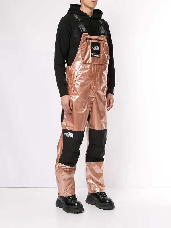 Supreme Tnf Metallic Bib Pant
