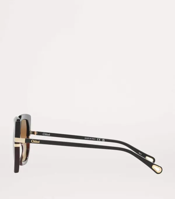 Chloé Metal Sunglasses Ch0240s - Black