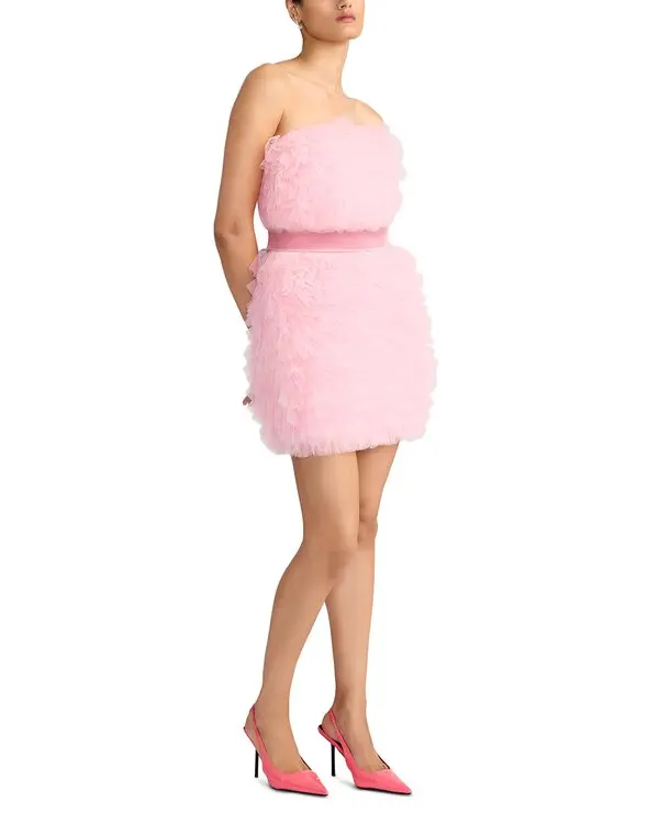 Zac Posen Wicked X Textured Tulle Mini Dress