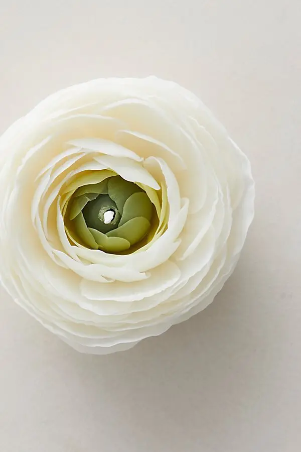 Free People Peony Candle - White