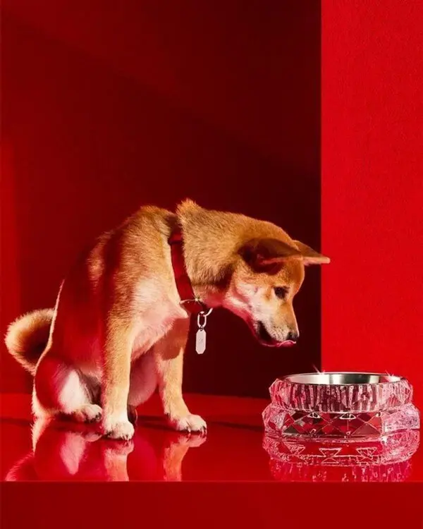 THE MARTHA, BY BACCARAT Louxor Crystal Pet Bowl - Clear