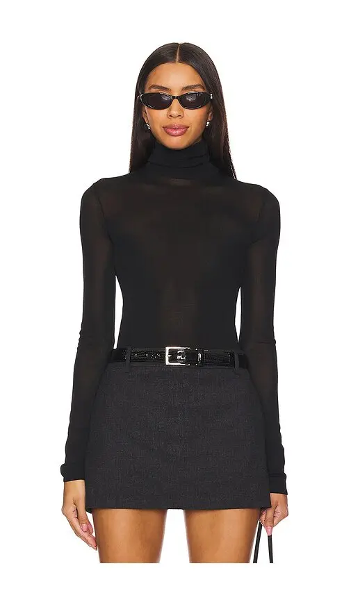EAVES Alexander Sheer Turtleneck Sweater