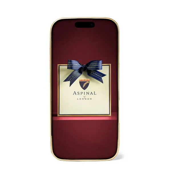 ASPINAL OF LONDON Iphone 16 Pro Case In Pebble - Navy