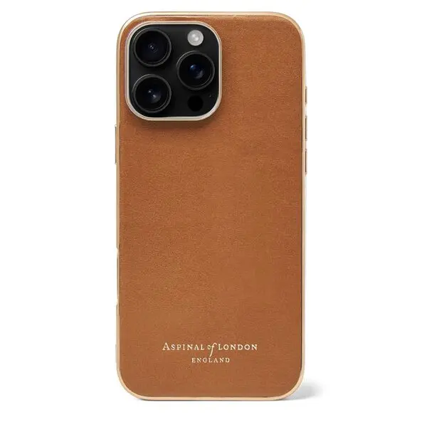 ASPINAL OF LONDON Iphone 16 Pro Max Case In Pebble & Gold - Tan