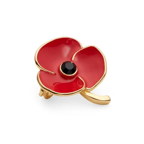 ASPINAL OF LONDON Poppy Brooch In Enamel & 18ct Gold Plated Sterling Silver - Red/gold