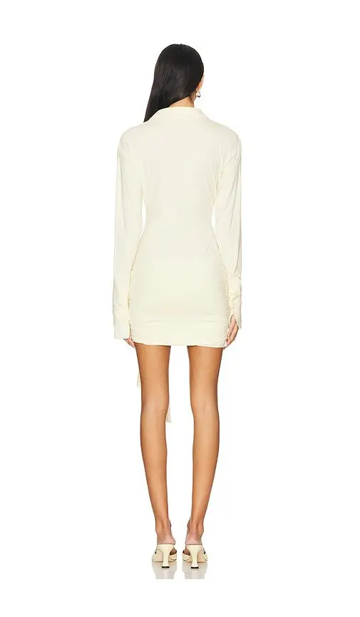 amur mini dress Calisa Mini Dress