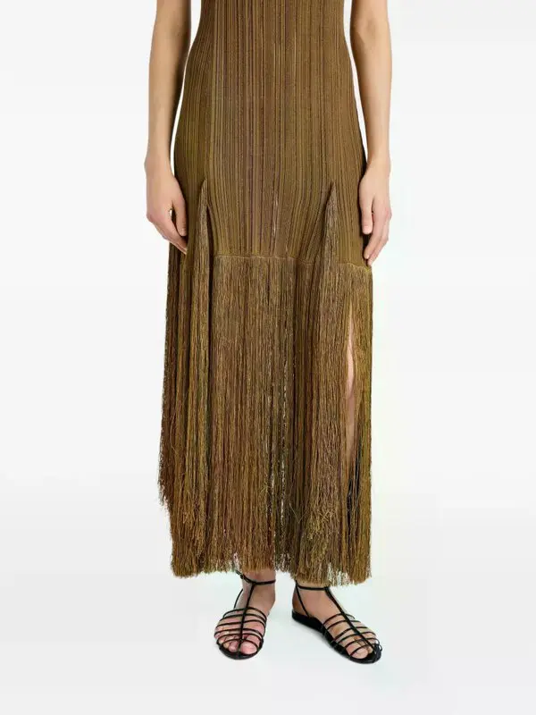 Proenza Schouler Everly Fringe Dress - Brown