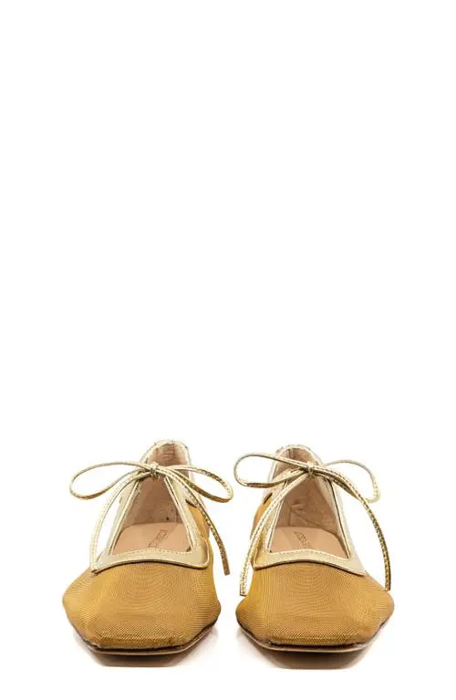 ANDREA GOMEZ Amelia Clear Mesh Ballet Flat - Gold