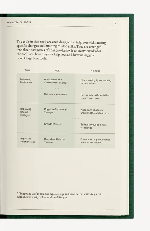 THERAPY NOTEBOOKS The Field Guide For Depression Notebook