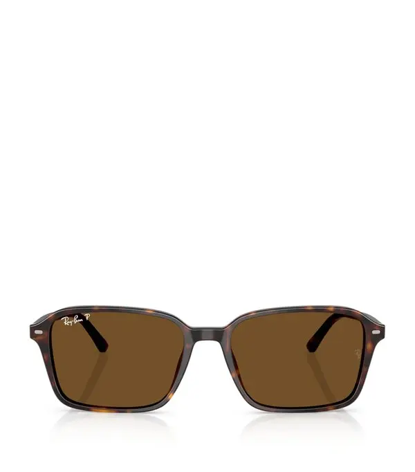 Ray-ban Raimond Sunglasses - Brown