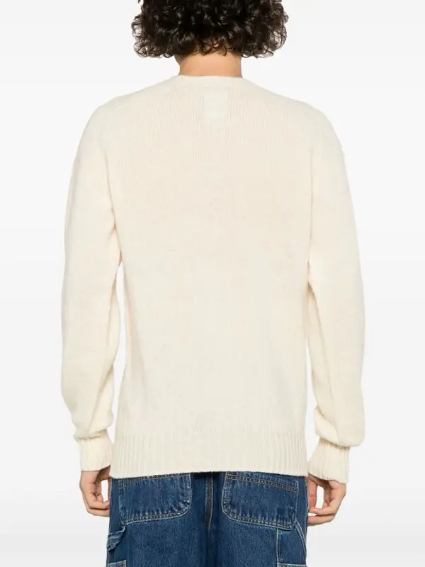 Howlin' Crew-neck Wool Jumper