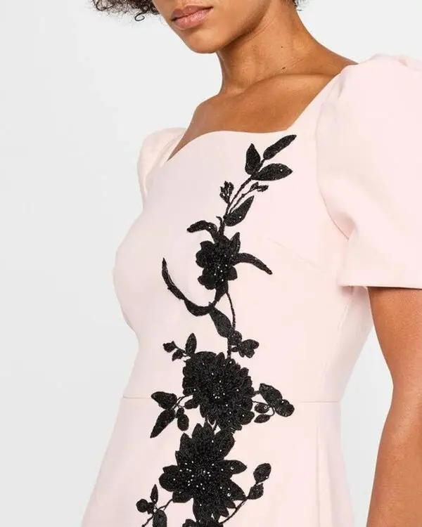 Rickie Freeman For Teri Jon Floral Applique Gown - Pnkblk
