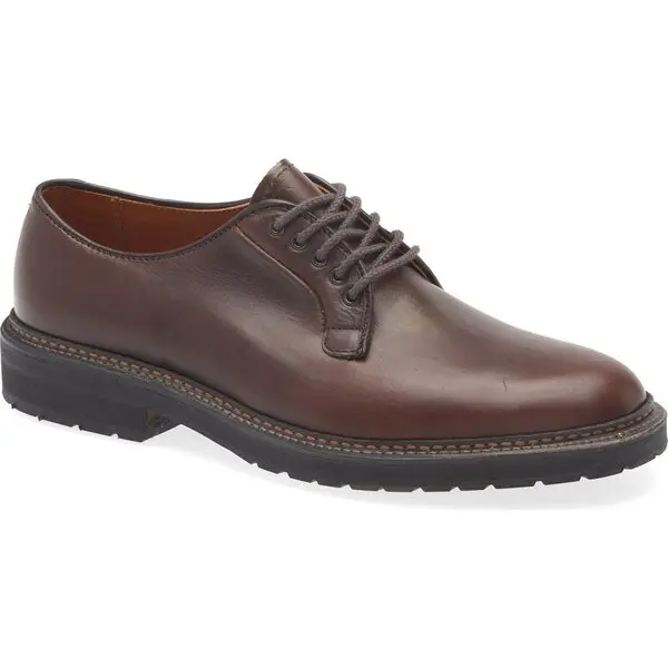 Alden Plain Toe Blucher Derby