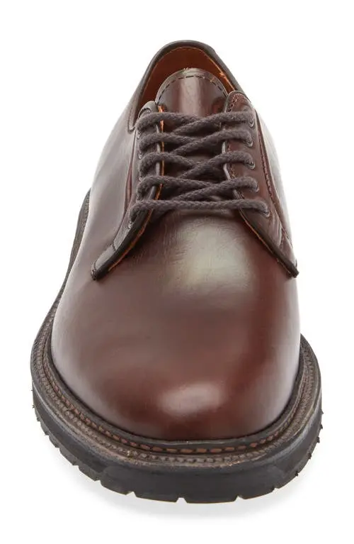 Alden Plain Toe Blucher Derby
