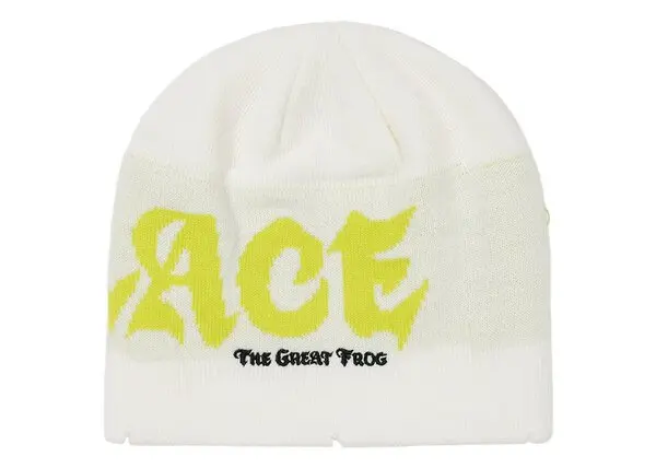 PALACE Tgf Beanie
