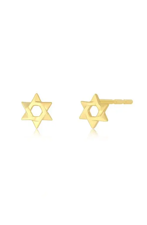 Ef Collection Star Of David Stud Earrings - 14k Yellow Gold