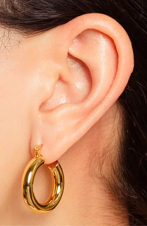 LITTLE SKY STONE Hoop Earrings