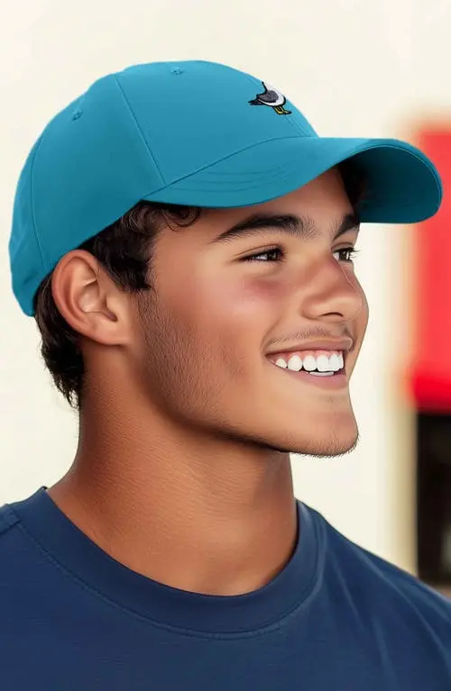 DALIX Seagull Embroidered Cap - Teal